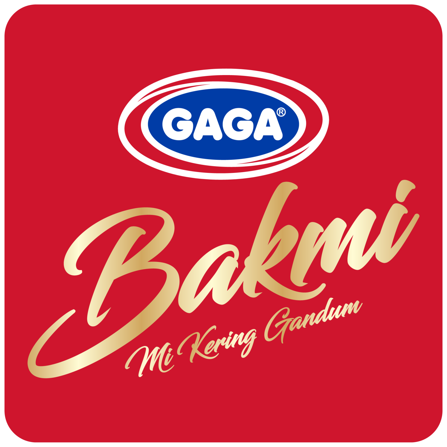 GAGA – Ada Kelezatan Ajaib di Setiap Rasanya..!